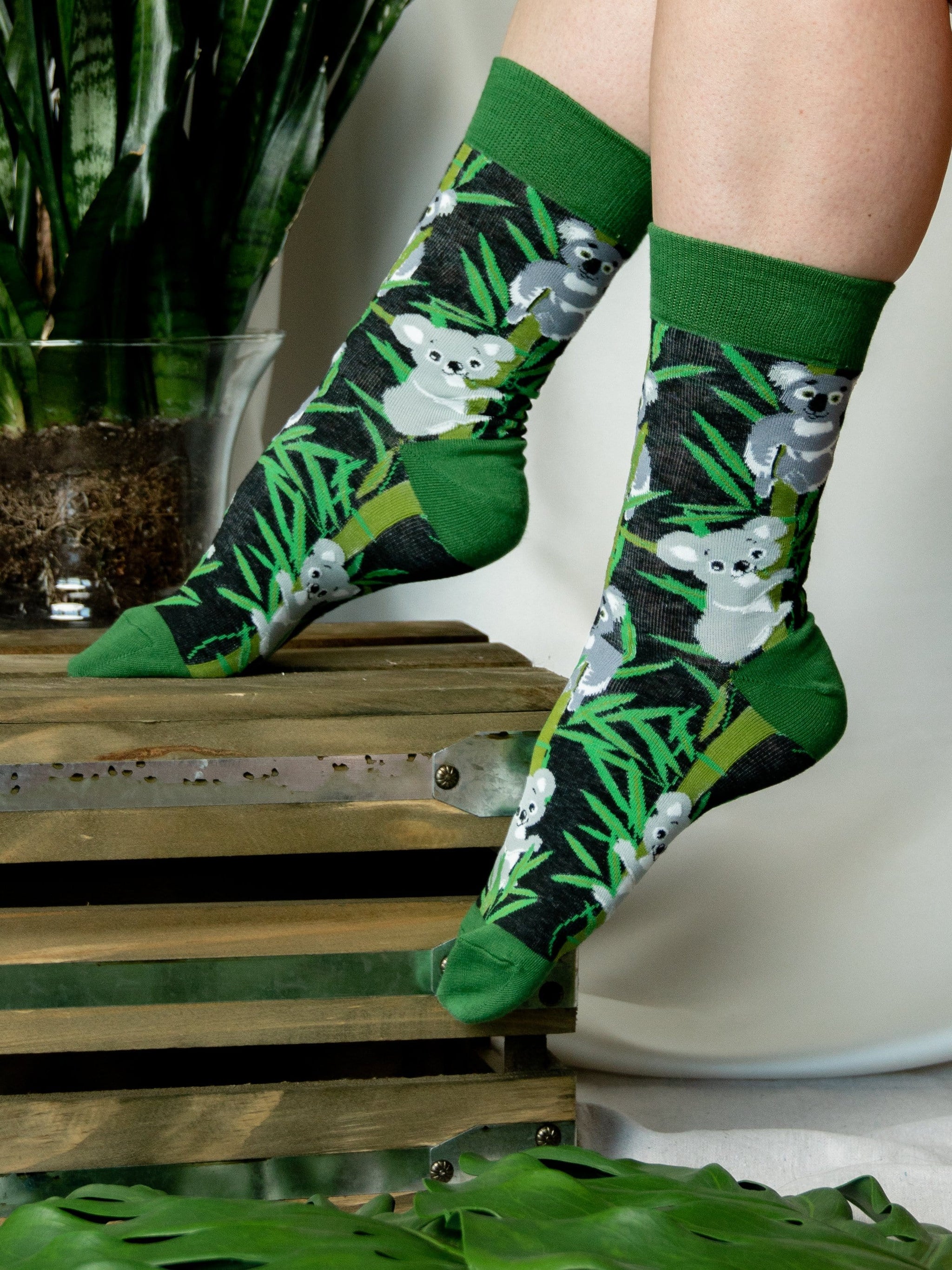 Koala Socks – Socky Sock